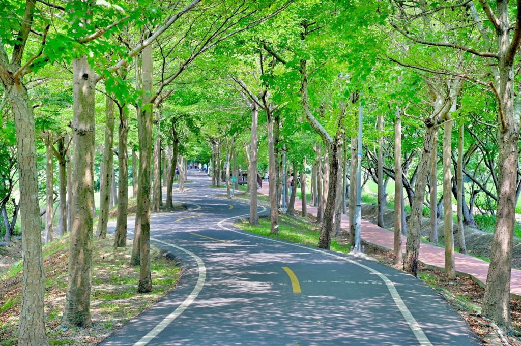 Tanya Shen Green Bikeway – 中科飯店官網｜台中住宿推薦中科大飯店、中科后豐會館